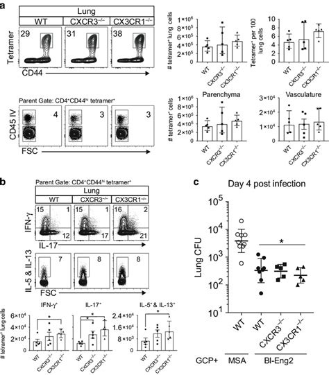 Redundant Roles Of Cxcr3 And Cx3cr1 In Sc Vaccinated Mice C57bl6 Wt