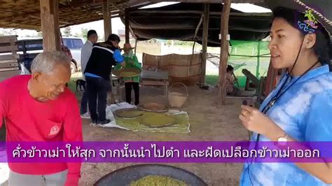ข้าวเม่าสูตรโบราณ บ้านโสกผักหวาน ยโสธร ข้าวเม่าสูตรโบราณ สร้างอาชีพ สร้างรายได้ ให้แก่ชาว บ้าน