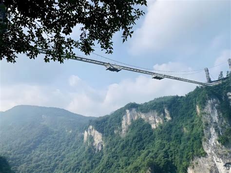 Zhangjiajie Grand Canyon Glass Bridge Travel Tips 2025