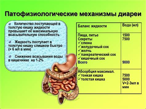 Диарея в практике терапевта - online presentation