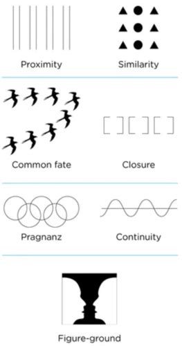 visual perception object recognition flashcards quizlet