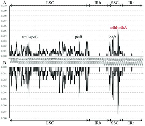 chloroplast genomic analysis using sliding window method a all seven