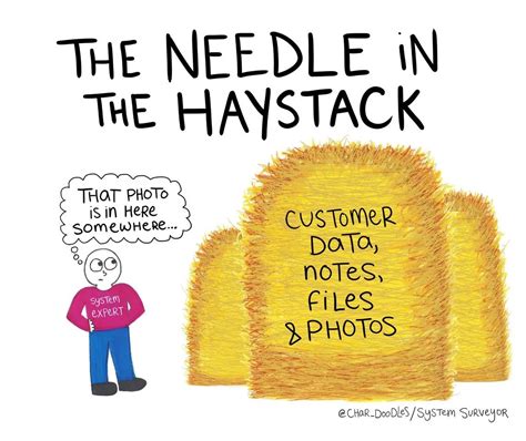 System Integrations Needle In The Haystack System Surveyor