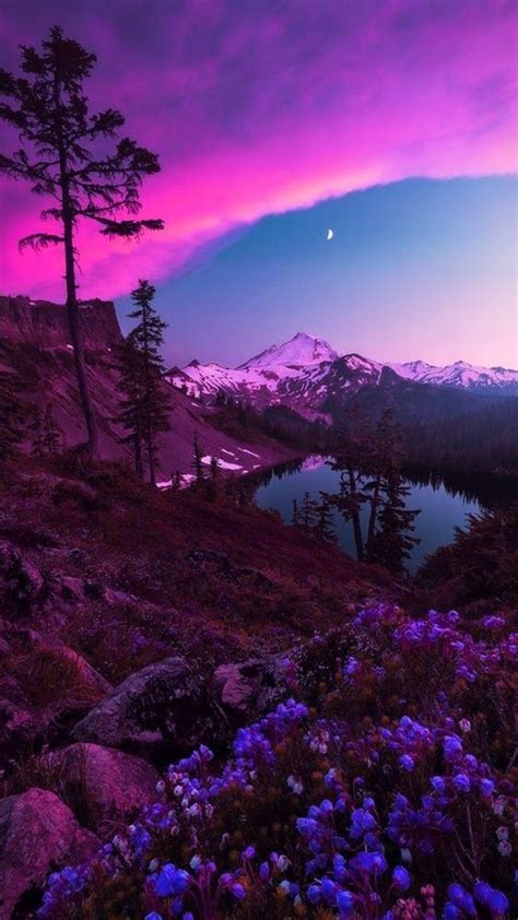 Aesthetic Nature Wallpapers 4k Hd Backgrounds On Wallpaperbat