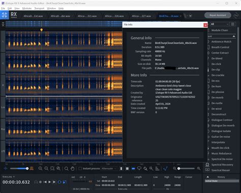 Izotope Rx Wave File Parsing Is Sometimes Questionable Rizotopeaudio