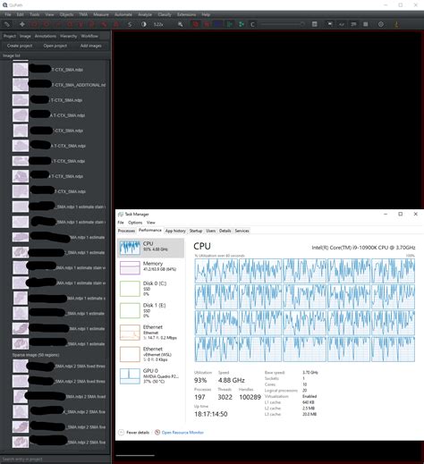 high cpu usage and qupath sluggishness while generating thumbnail for