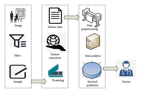 Architecture Of Predictive Models For Survival Analysis Download