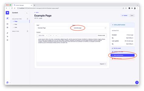 Preview Button Strapi Market