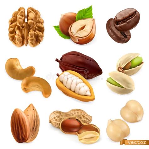 cocoa nutshell stock illustrations 554 cocoa nutshell stock