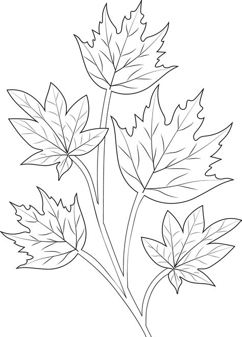 Autumn Leaves Black And White Clip Art