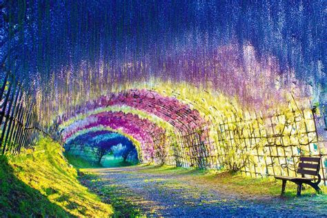 Japanese Nature Wallpapers Top Free Japanese Nature Backgrounds