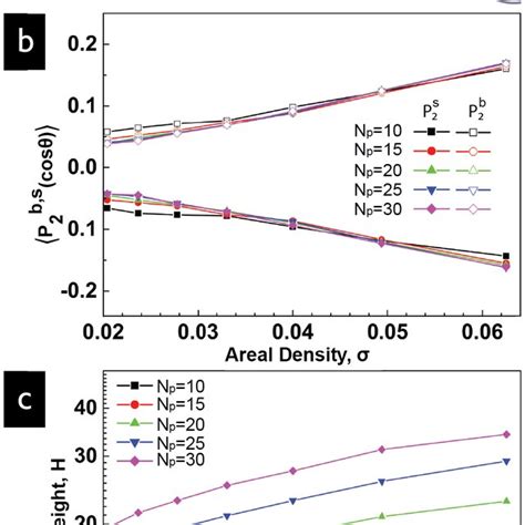 A Schematic Showing A Single Highlighted Polystyrene Chain Tethered Download Scientific
