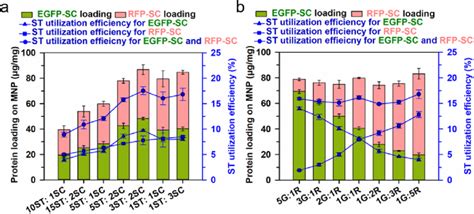 Tunable One Pot Co Immobilization Of Egfp Spycatcher Egfp Sc And
