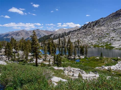 Can You Drive Through Sequoia National Park Lazytrips
