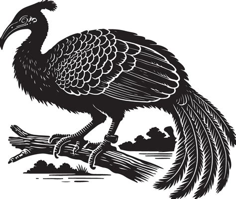 Megapode Bird Silhouette 54058733 Vector Art At Vecteezy