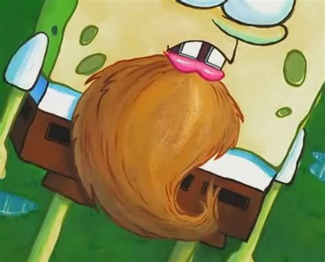 Spongebob Shaved Head At Ronda Rothermel Blog