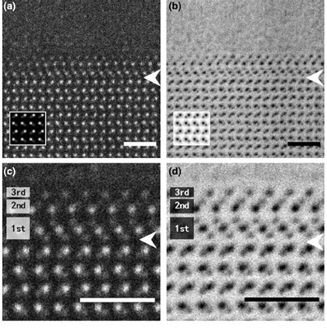 14 Simultaneously Obtained Atomic Resolution Adf A And Abf B Stem