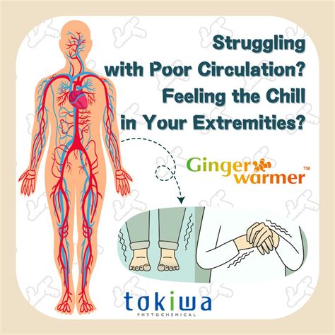 Tokiwa Phytochemical Coltd On Linkedin Tokiwa Tokiwaphytochemical