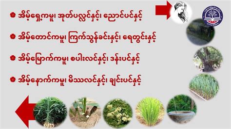 Grade 10 မြန်မာကဗျာ အရွတ်အဖတ်သင်ခန်းစာ အပိုင်း ၂ အခန်း ၂ နှမထွေးမယ့်ကိုလိုလျှင် Youtube