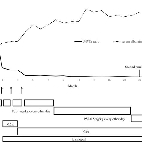 Urinary Protein Creatinine Ratio U Pcr Ratio And Serum Albumin