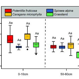 Soil PH Different Lowercase Letters Indicate Significant Differences
