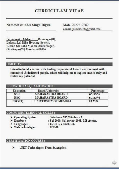 BSC IT Resume Format