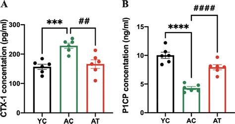 Effects Of Treadmill Training On The Serum C Terminal Cross Linking Download Scientific Diagram