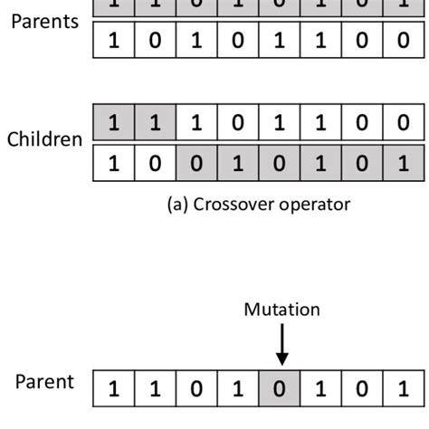 two genetic operators a crossover operator b mutation operator