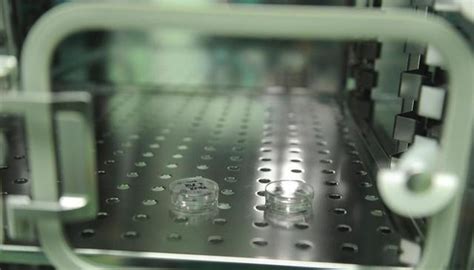 二胎新政或唤醒冷冻胚胎技术 催生“技术二孩”新浪图片