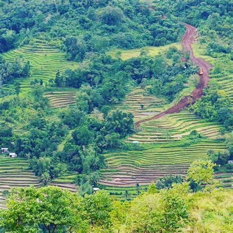 Culasi Rice Mount Madya As Highest Peak In Panay