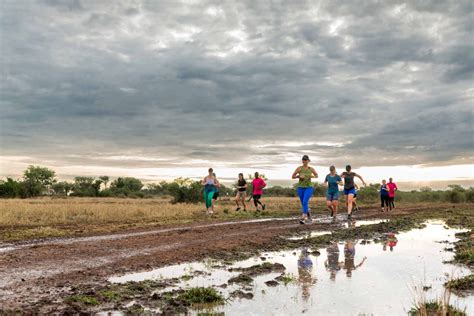 Animal Magic Grumeti Game Reserve Tanzania Outthere Magazine
