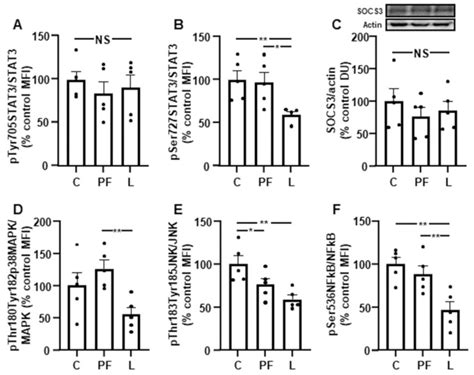 Effect Of Chronic Central Leptin Infusion On Activation Of Leptin And