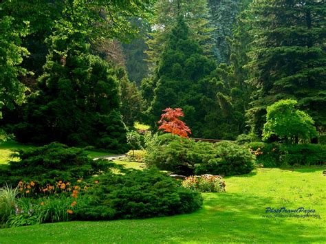 Gardens Wallpapers Images And Nature Wallpaper Gardens Pictures 5842