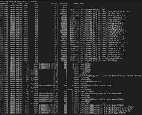 Lsof Sur Linux Utilisations Et Exemples Malekal