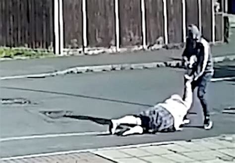 Police Hunt Thug Caught On Cctv Snatching Handbag From Elderly Woman