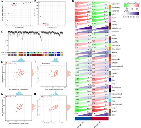 Weighted Gene Co Expression Network Analysis Wgcna A B Network
