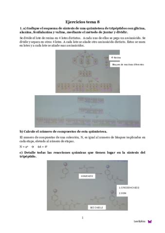 Ejercicios Tema Pdf