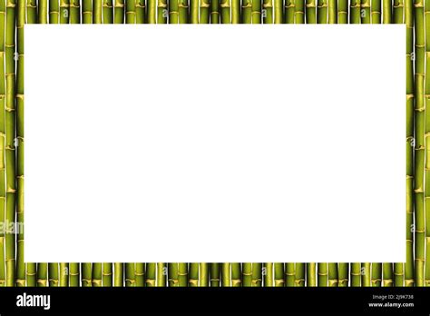 rectangle empty wooden and green bamboo frame isolated on white