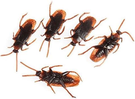 Zhangyihot 10 Pcs Prank Fake Roaches Simulation Kmc2fake Rubber
