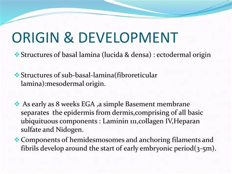Dermo Epidermal Junction Ppt