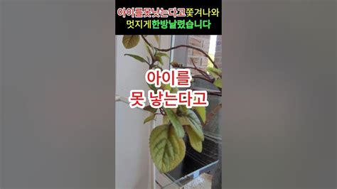 아이를 못낳는다고 시모에게 쫒겨 나와 멋지게 한방 날렸습니다 썰 시댁사연 나팔신사 시댁 재밌는사연 시어머님썰 며느리 고부갈등 시어머니시아버지좋은글 시댁