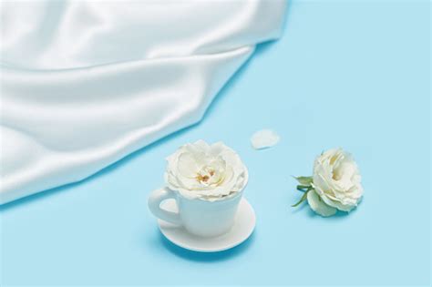 파스텔 블루 배경에 흰색 장미 꽃 싹과 실크 천커피 또는 차 의 컵으로 만든 창조적 인 구성 아침 음료 개념 최소한의 스타일