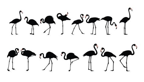 รูปภาพfinny เลือกดูภาพถ่ายสต็อก เวกเตอร์ และวิดีโอ358 Adobe Stock