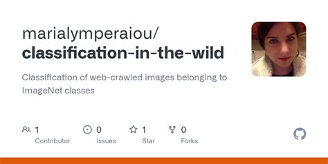 Github Marialymperaiou Classification In The Wild Classification Of