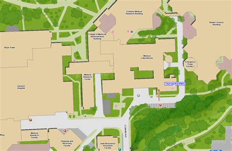 Contact Us Shen Lab The University Of Iowa