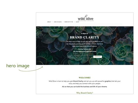 What Is A Website Hero Image And How To Design Yours Like A Pro Lilly Piedra