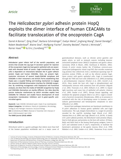 Pdf The Helicobacter Pylori Adhesin Protein Hopq Exploits The Dimer