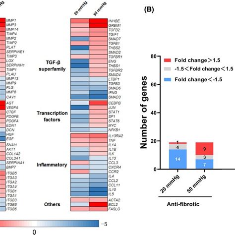 rt2 profiler™ pcr array analysis on the expression of genes involved in
