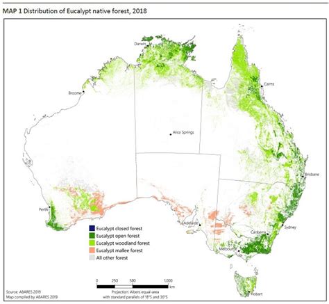 Eucalyptus Forests Information