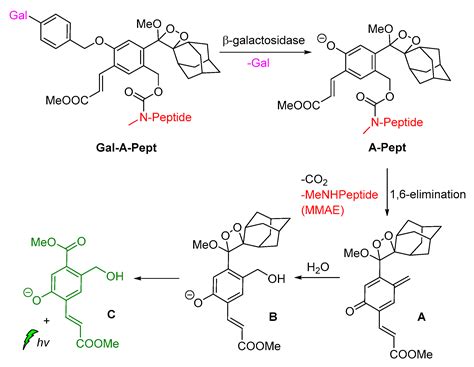 Molecules Free Full Text Direct And Indirect Chemiluminescence